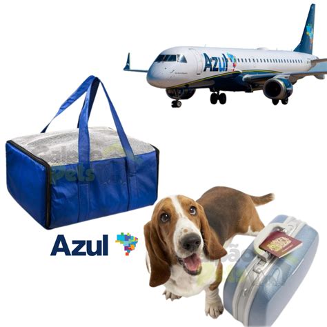 Bolsa de Transporte Aéreo Para Pet Cães e Gatos Cia Azul Padrão Viagem