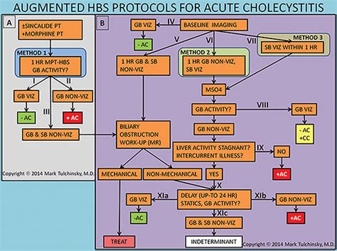 Applied Hepatobiliary Scintigraphy In Acute Cholecystitis APPLIED