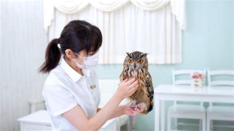 Tempat Wisata Terbaik Di Akihabara Tokyo Jepang Animate Buat