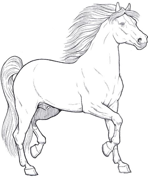 Disegni Dei Cavalli Da Colorare AZ Colorare