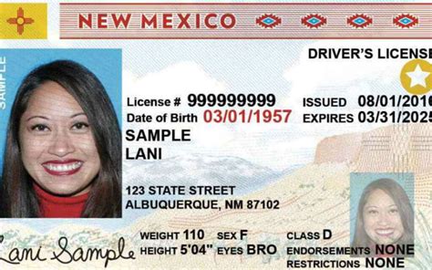 Descubre cuánto cuesta la licencia de conducir en España Sorprendente