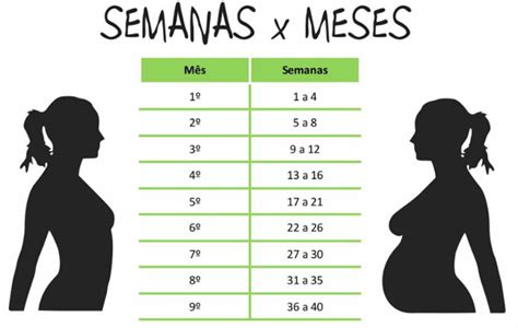 Semanas S O Quantos Meses Babycenter