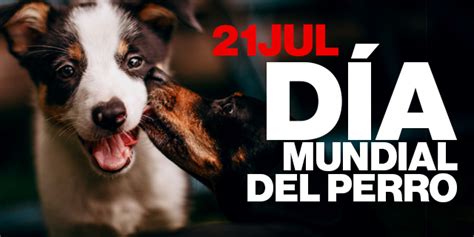 Hoy 21 de julio se celebra el Día Mundial Del Perro DolarToday