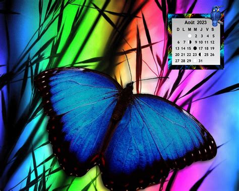 Fonds décran Calendriers Belle Picotine