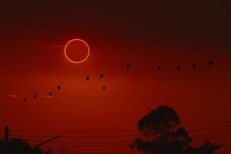 Eclipse anular de sol en Colombia dónde verlo y como verlo de forma