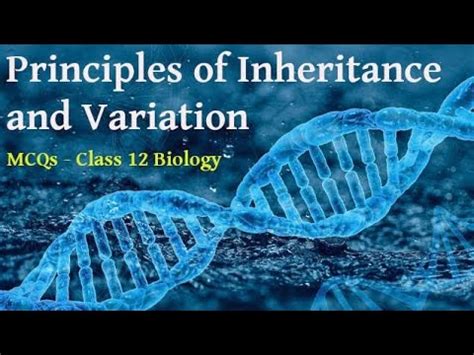 Principles Of Inheritance And Variation Ll Neet 2024 Ll MCQ YouTube