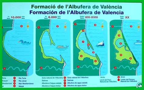 La Albufera De Valencia Fotografían Al Monstruo Del Lago