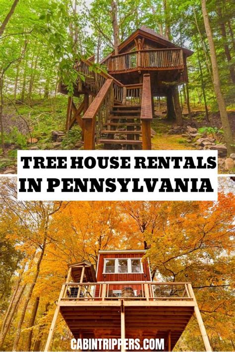 TOP 12 Pennsylvania Treehouse Rentals To Rent In 2023 Cabin Trippers