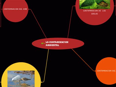 La Contaminacion Ambiental Mind Map