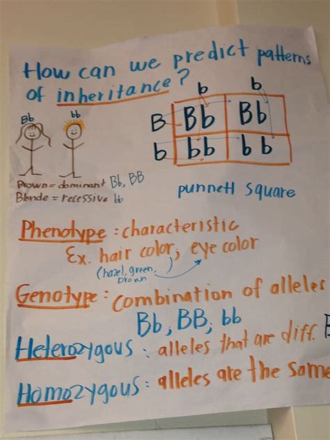 Private Site Science Anchor Charts Life Science Middle School