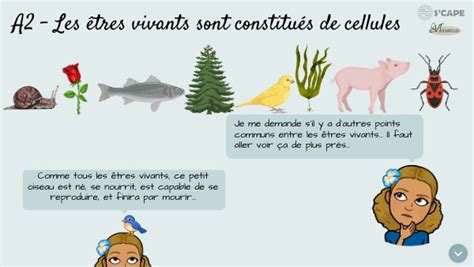 A2 Les êtres vivants sont constitués de cellules
