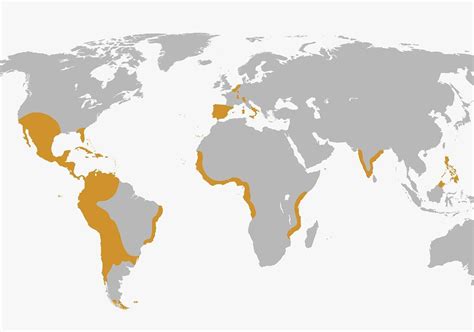 ubica y marca con una x en el mapa las colonias de España en el siglo