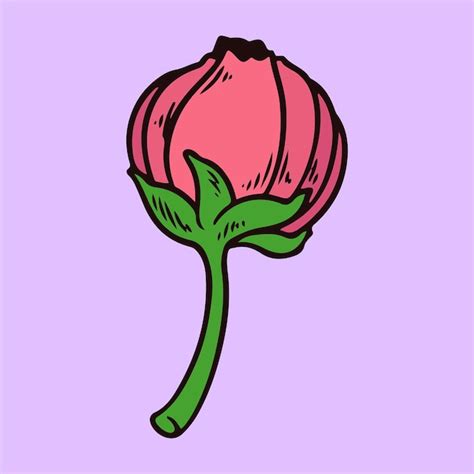Premium Vector Hibiscus Flower Vector Illustration