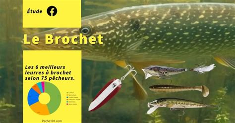 Leurre pour Pêcher le Brochet Guide Ultime des Meilleurs Choix en