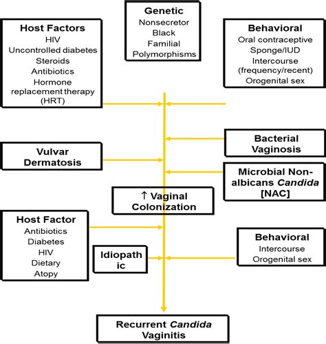 Recurrent Vulvovaginal Candidiasis American Journal Of Obstetrics