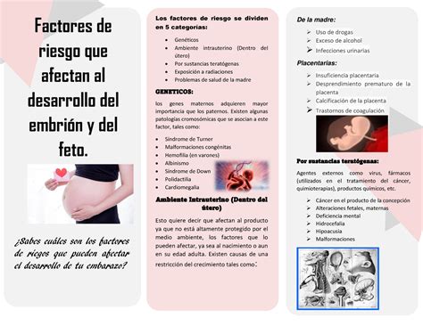Triptico Factores De Riesgo En El Desarro Del Embrion Y El Feto