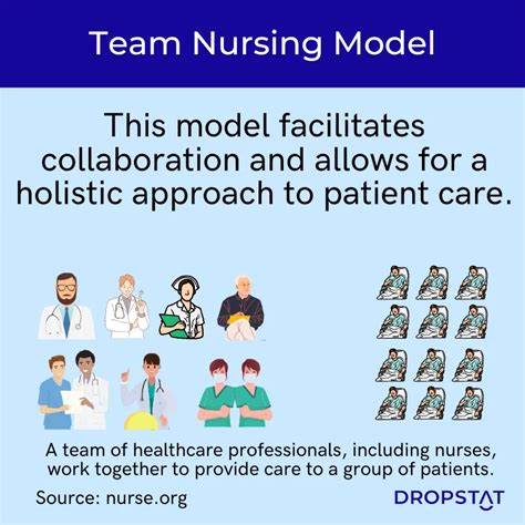How To Choose The Best Nursing Care Models Dropstat