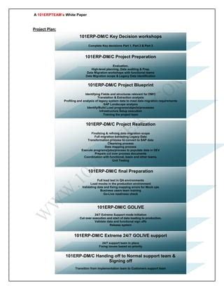 Wp Sap Data Migration PDF