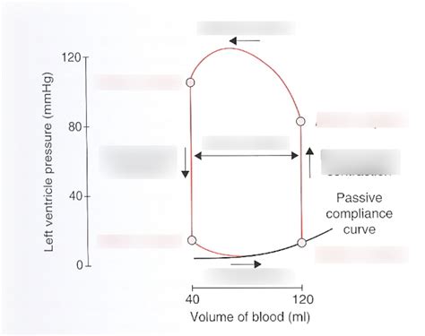 Diagram Of Pressure Volume Loop Quizlet