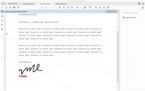 Ejemplo De Firma Digital Pdf