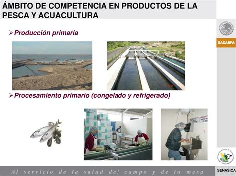 Ppt Programas De Reducci N De Riesgos En Productos Pesqueros Y