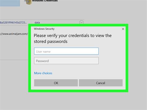 how to view your passwords in credential manager on windows