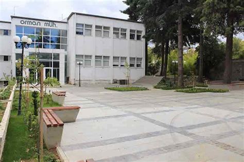 Karadeniz Teknik Üniversitesi