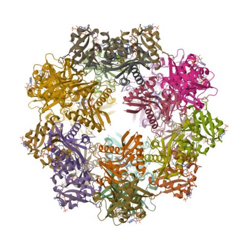 Rcsb Pdb Trl Crystal Structure Of Human Gcn Histone