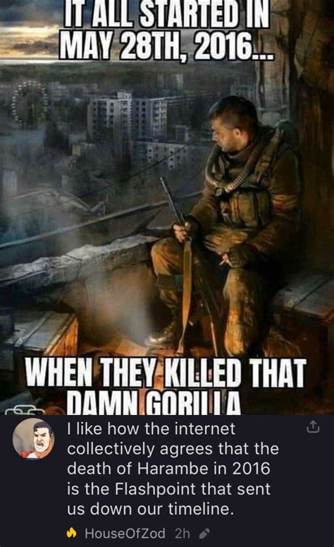Stfu Irl R Comedycemetery Comedy Cemetery Know Your Meme