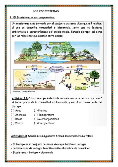Ejercicio Online De Los Ecosistemas Para 3 Primaria Ecosistemas