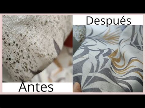 Cómo quitar las manchas de moho en la ropa Guía completaActualizado