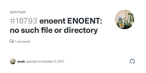 Enoent ENOENT No Such File Or Directory Issue 18793 Npm Npm GitHub