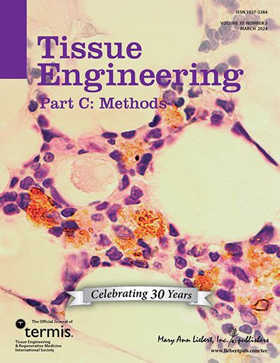 Trends And Future Research In Skeletal Muscle Tissue Engineering In The