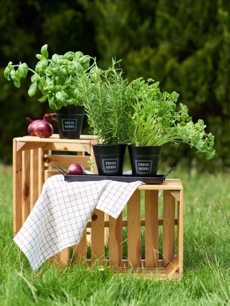 Details Imagen Macetas Para Plantas De Interior Abzlocal Mx