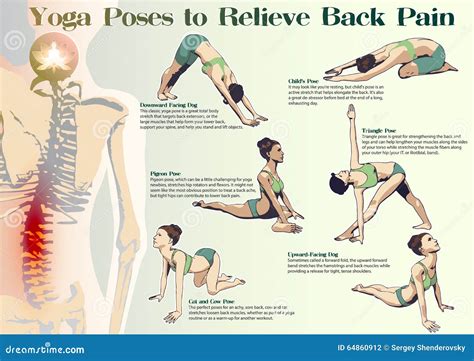 Yoga Poses To Relieve Back Pain Stock Vector Image 64860912
