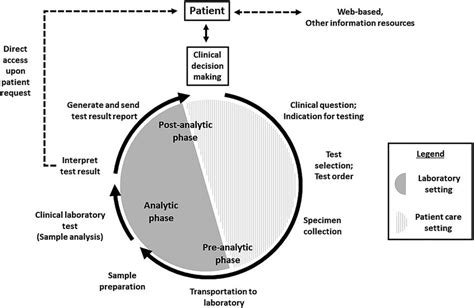 the total testing process describes the lifecycle of a clinical download scientific diagram
