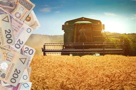 Rolnicy dostaną 100 proc rekompensaty Jest decyzja ministerstwa