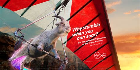 Why Stumble When You Can Soar A Hang Gliding Goat Reaches New