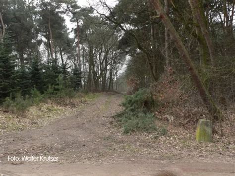 MTB Route Weert Deel Van Zuidlus VVV Hart Van Limburg