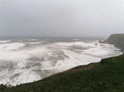 La psicóloga desaparecida en Gijón Cuándo se perdió su pista Qué