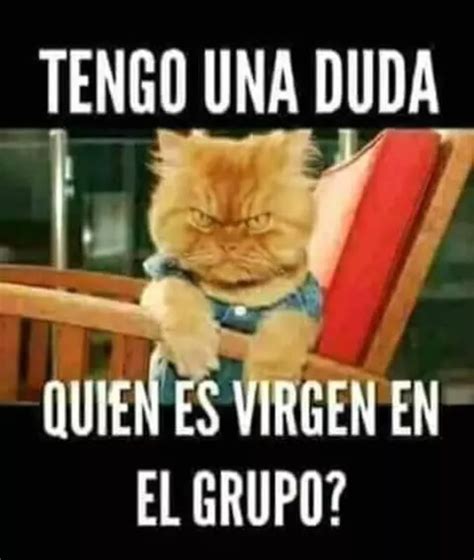 Pin De Melissa En Chistes Meme Divertido Imagenes De Felicidad Chiste Meme