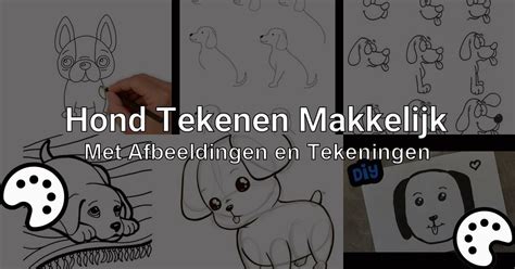Hond Tekenen Schattig Stap Voor Stap Tekenen Nu