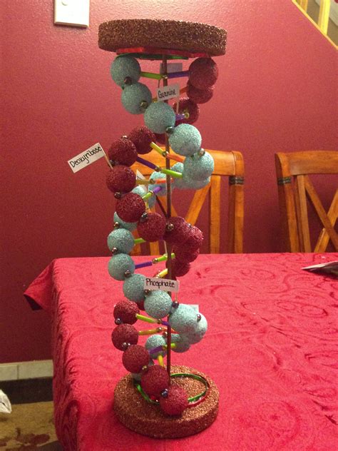 Science Project Biology Ideas