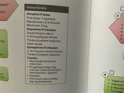 Adult Bradycardia Algorithm Flashcards Quizlet