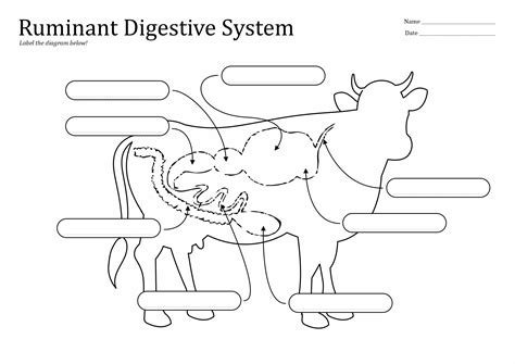 Printable Worksheets Diagram System