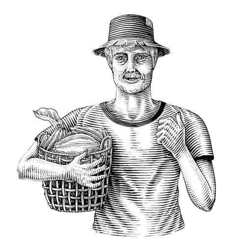 Free Vector The Men Holding Baskets Of Cocoa Fruit Hand Draw Vintage