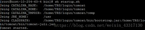 在服务器上部署应用 linux启动tomcat 麒麟重启tomcat csdn博客