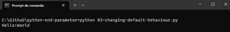 A Complete Guide To Python End Parameter