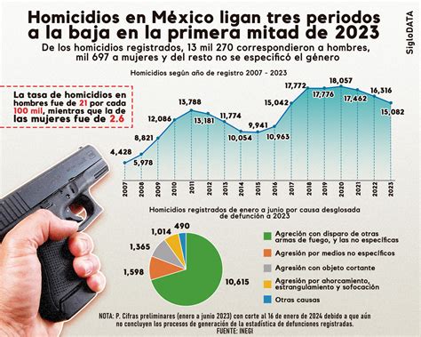 Principales Causas De Muerte De Los Mexicanos Inegi