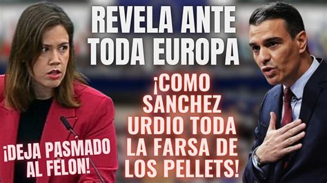 BOMBAZO EURODIPUTADA PORTUGUESA HUNDE a SÁNCHEZ al REVELAR cómo